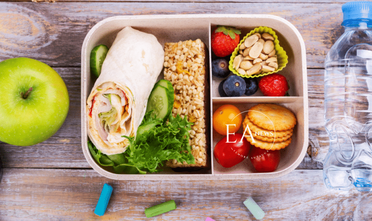 Healthier Lunch Box Options For Your Kids - Elmore-Autauga News